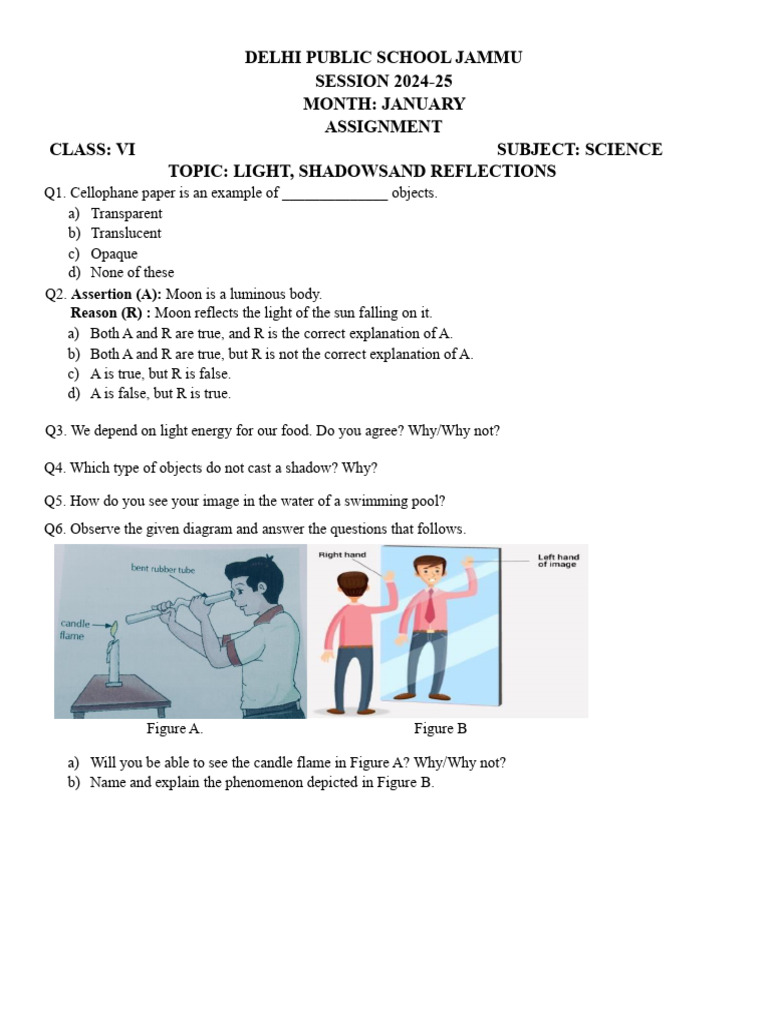 Class VI Science Assignment: Light & Shadows | PDF