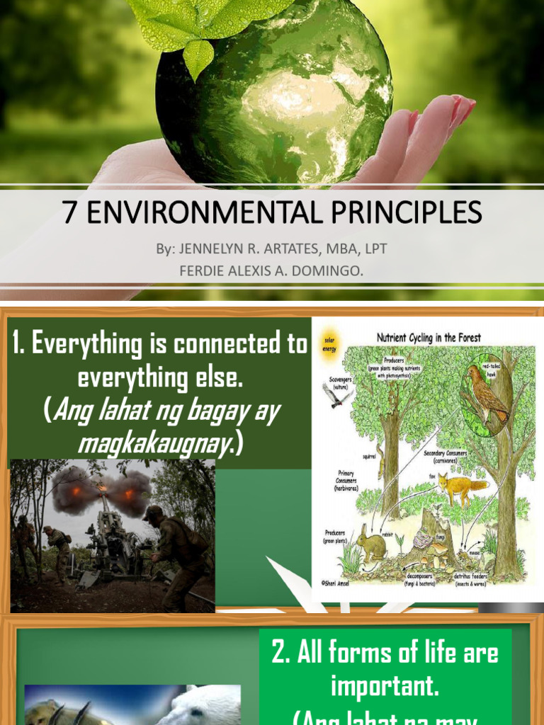 Environmental Principles | PDF