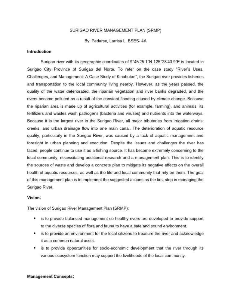 Management Plan For Surigao River | PDF | River | Sustainability