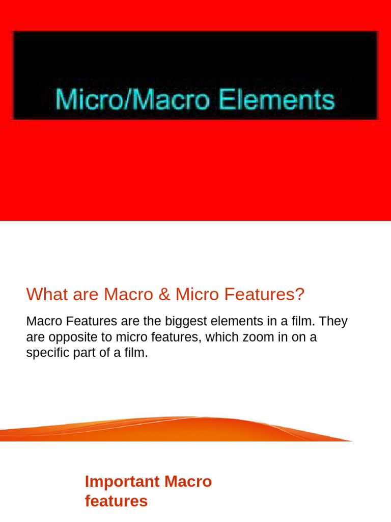 Macro & Micro | PDF