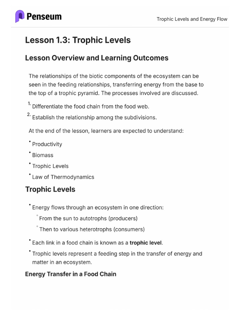 Trophic Levels and Energy Flow | PDF