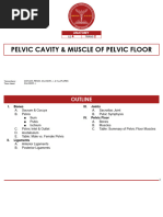6 - Pelvic Rocking Exercises | PDF | Pelvis | Abdomen
