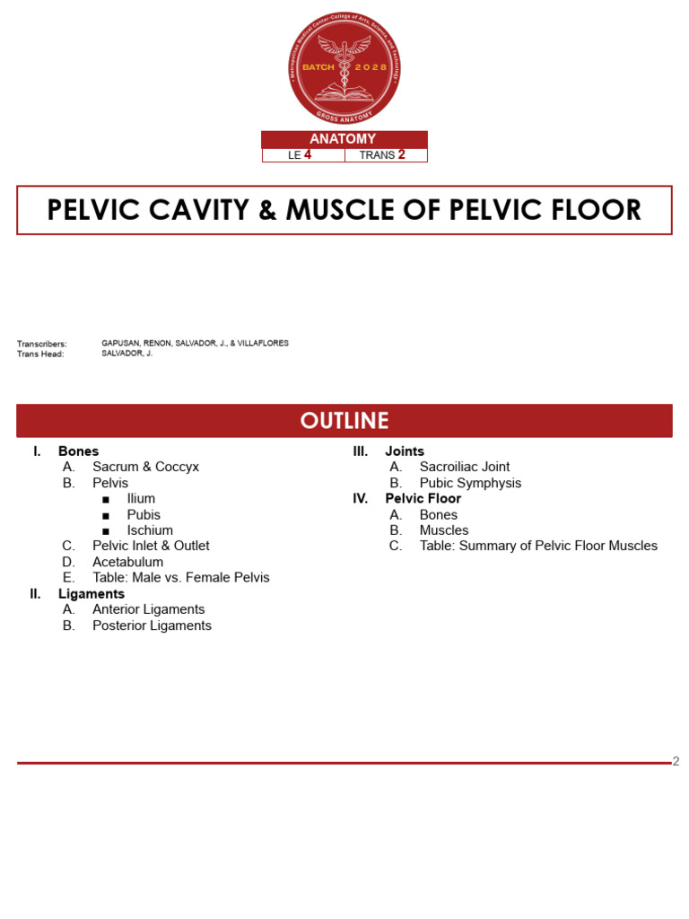 (ANA) Lab 4.02 Pelvic Cavity & Muscle of The Pelvic Floor | PDF ...