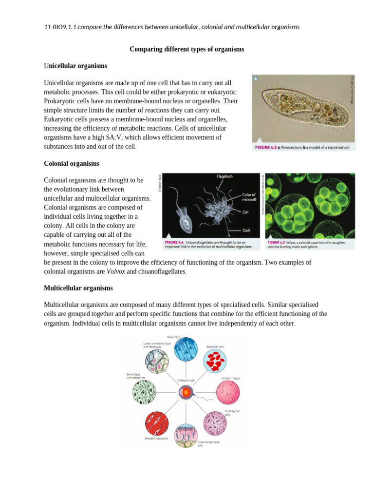 1. Comparing different types of organisms | PDF | Cell (Biology ...