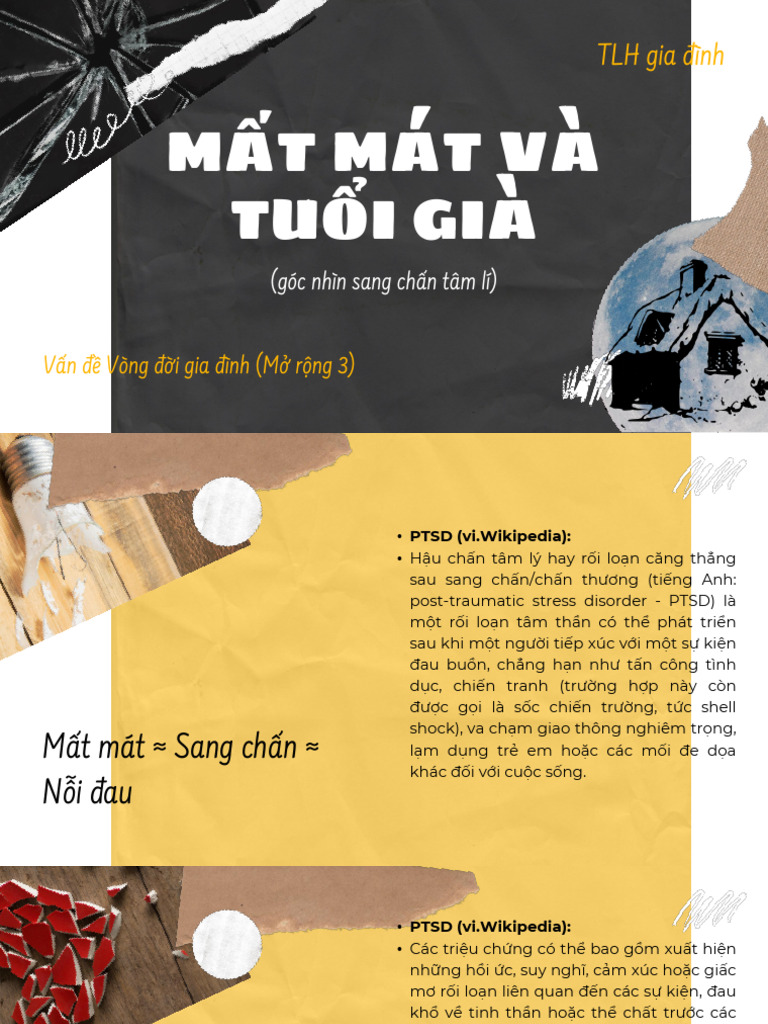 TLH Gia Đình - Vấn Đề Vòng Đời GĐ (Mở Rộng 2) | PDF