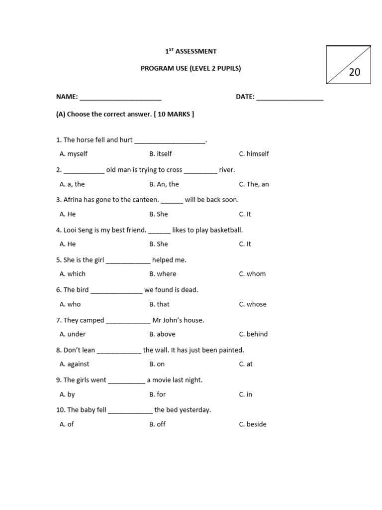 Level 2 Pupils 1st Assessment | PDF