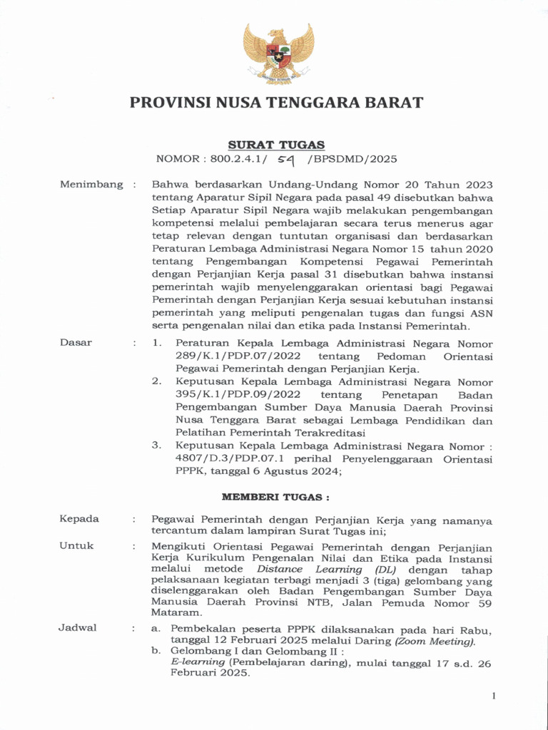 Spt Peserta Pppk Provinsi | PDF