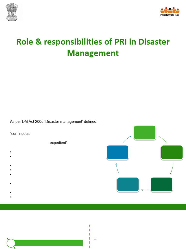 PRI | PDF | Emergency Management | Economies