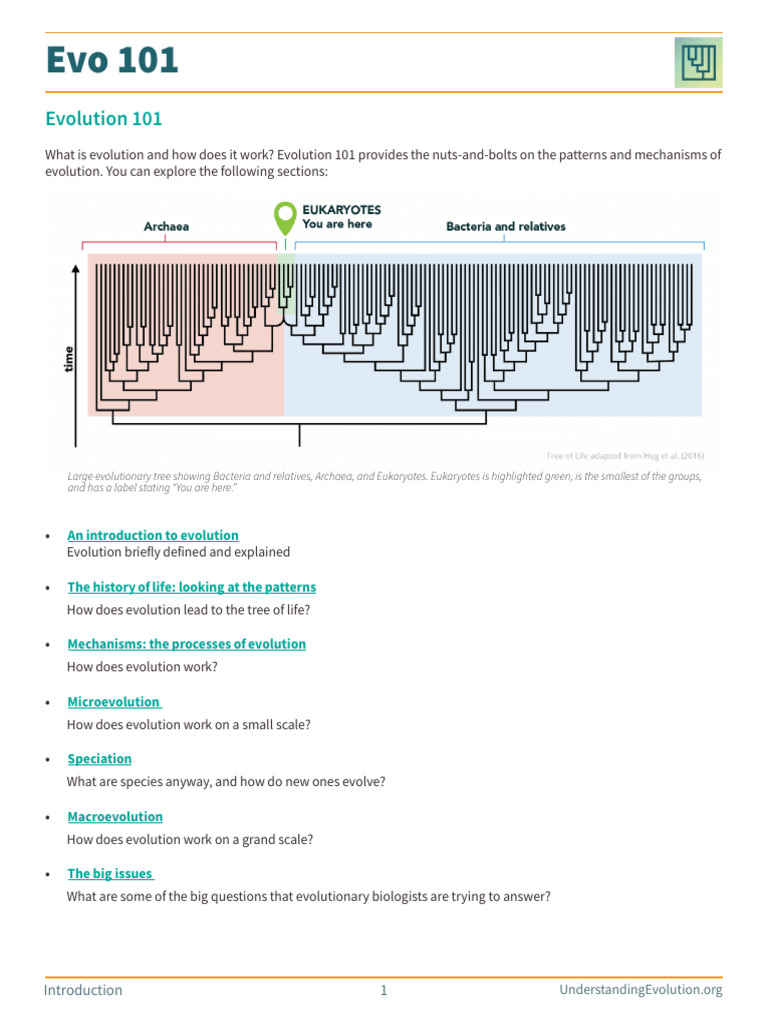 Evolution 101 | PDF | Mutation | Evolution