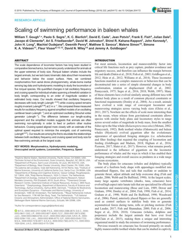 Scaling of Swimming Performance in Baleen Whales | PDF | Animal Locomotion | Cetacea