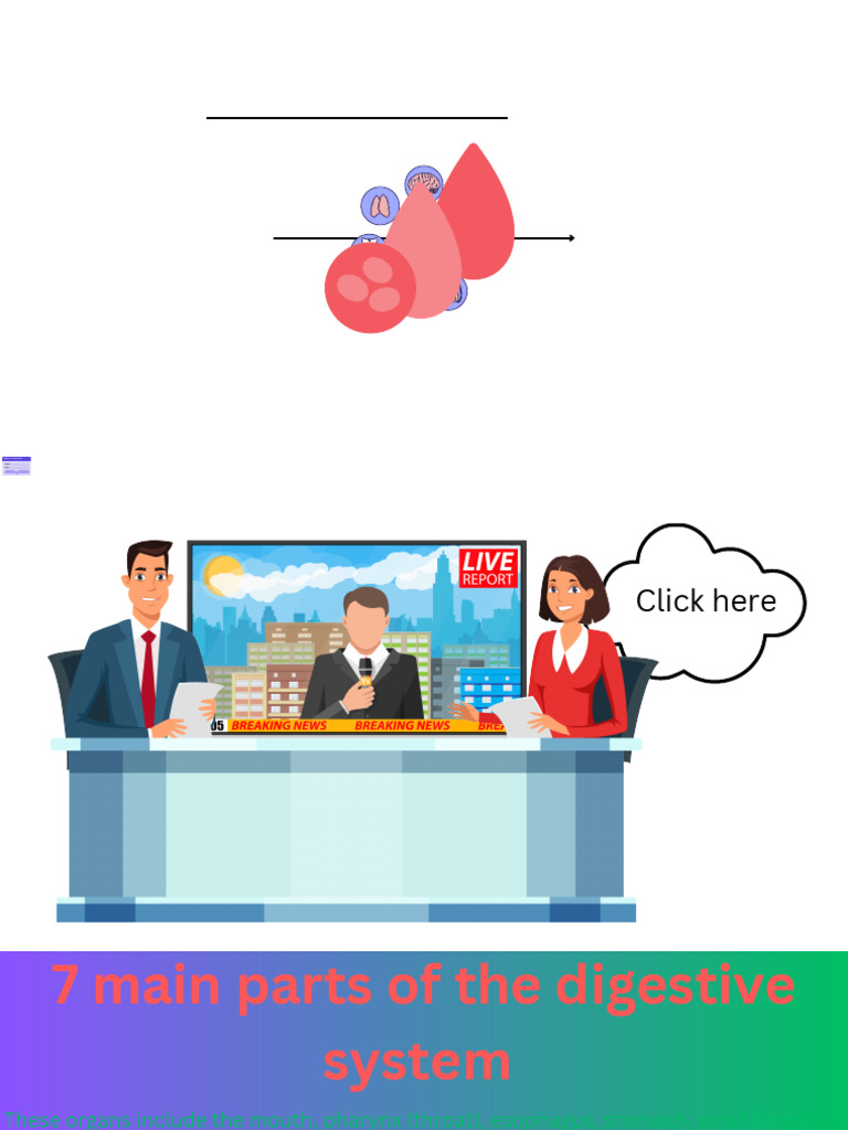Endocrine system | PDF | Gastrointestinal Tract | Human Digestive System