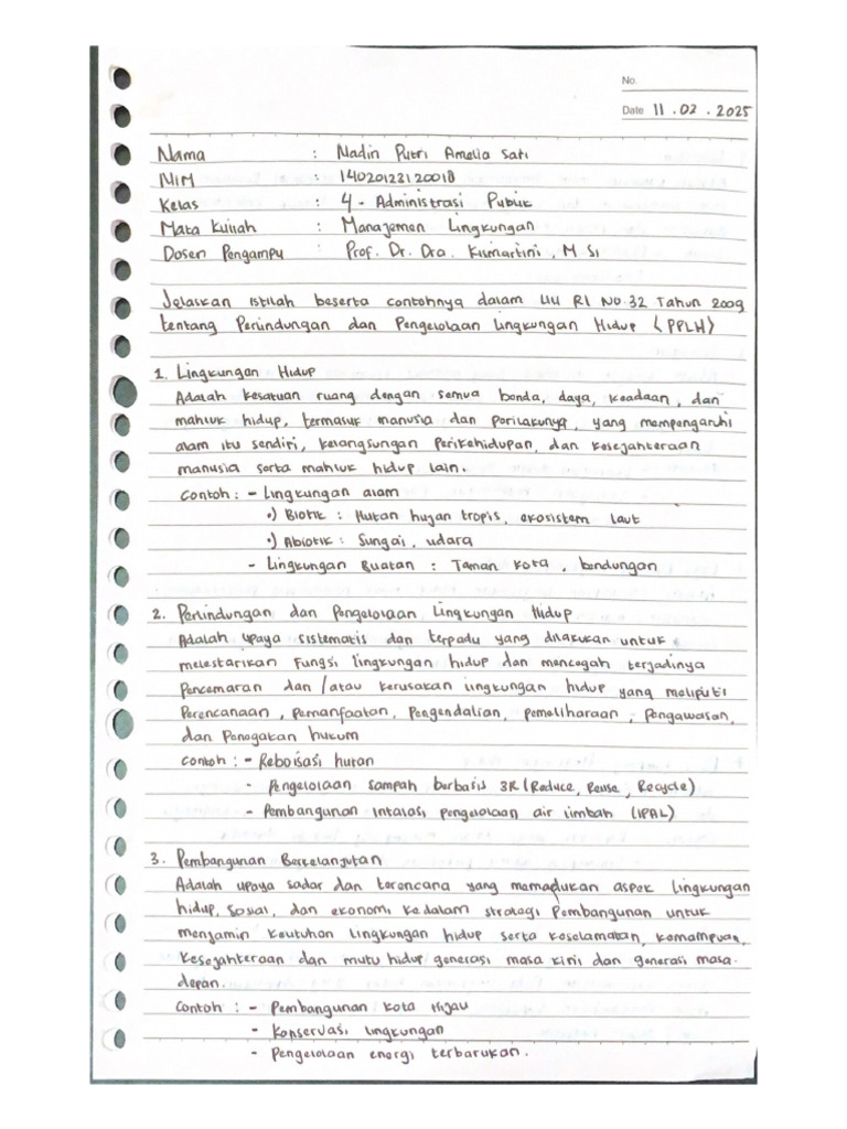 018 - Nadin Putri Amelia Sari | PDF