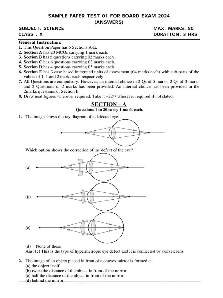 Edited Sample Papers | PDF