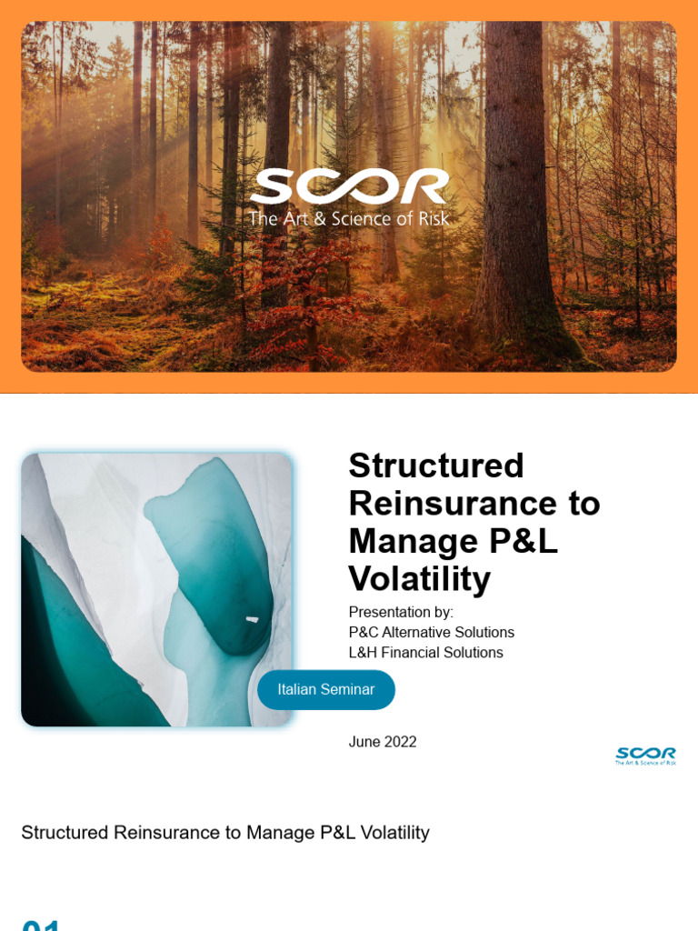 Structured Reinsurance for P&L Stability | PDF | Reinsurance | Income ...