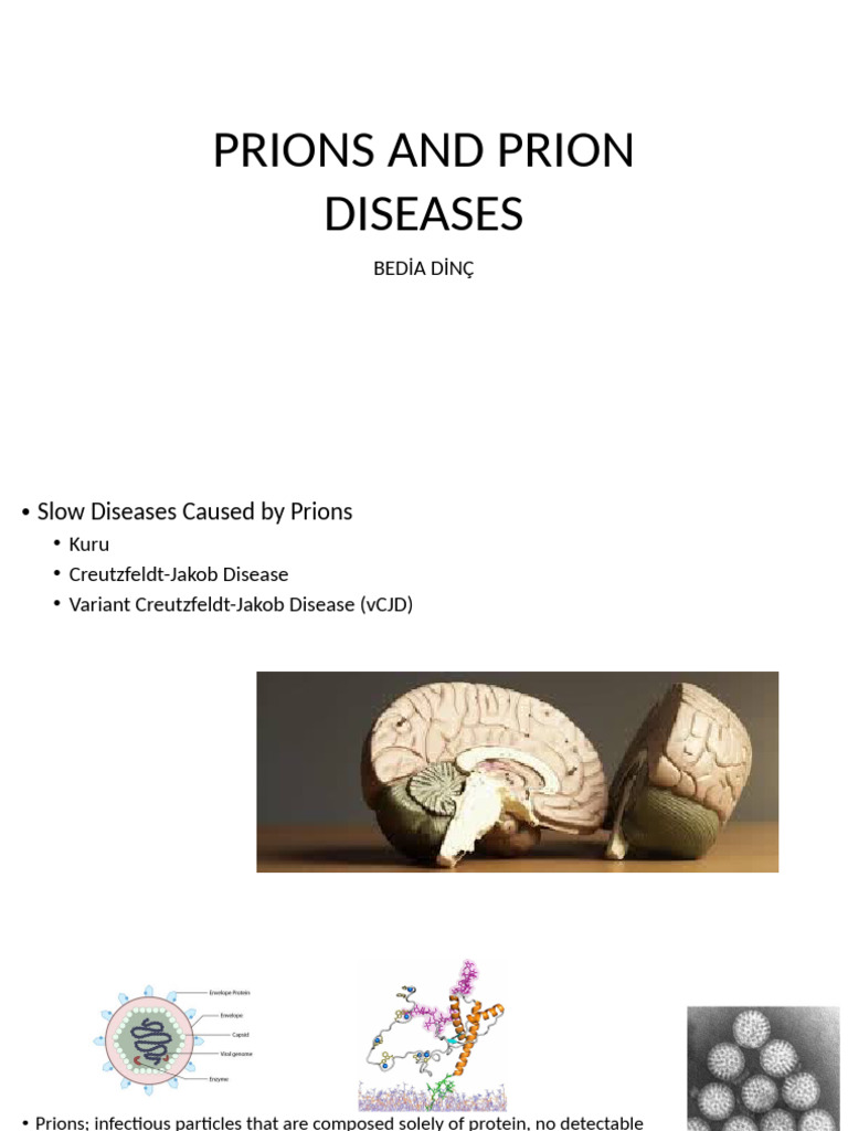 PRIONS.and PRION DISEASES CLASS 1 2024-25 | PDF | Medical Specialties ...