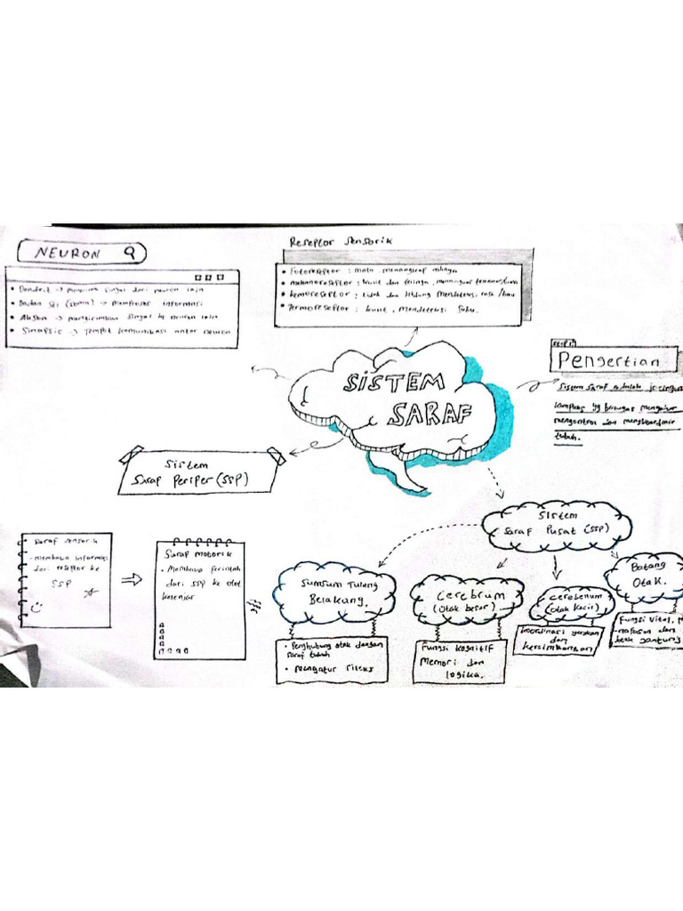 Tugas Biologi Muhammad Abdi | PDF