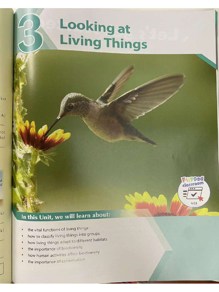 Unit 3-Living Things | PDF