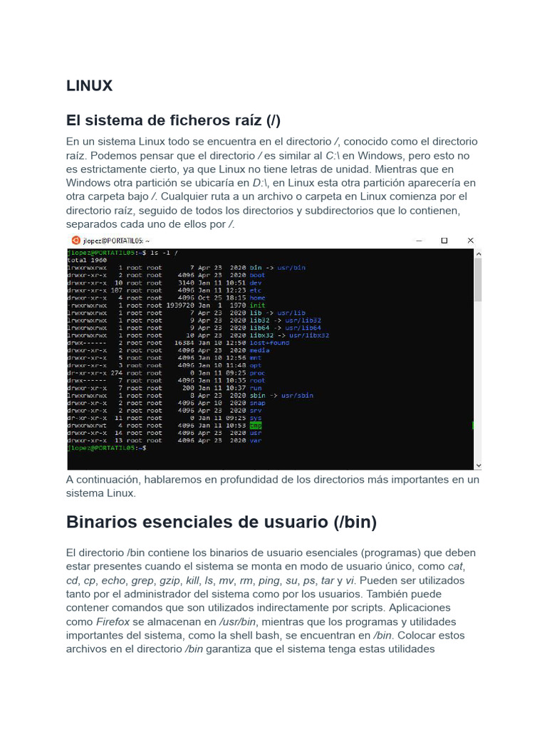 Linux y Windows | PDF | Archivo de computadora | Sistema de archivos