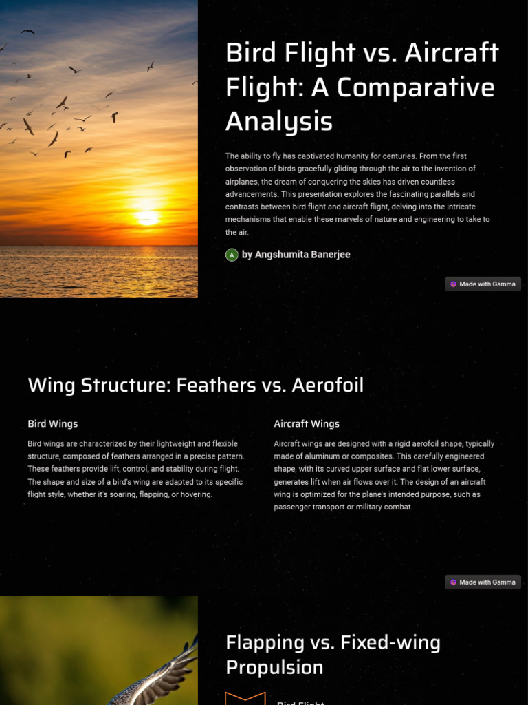 Bird Flight vs. Aircraft Mechanics | PDF | Aircraft | Flight