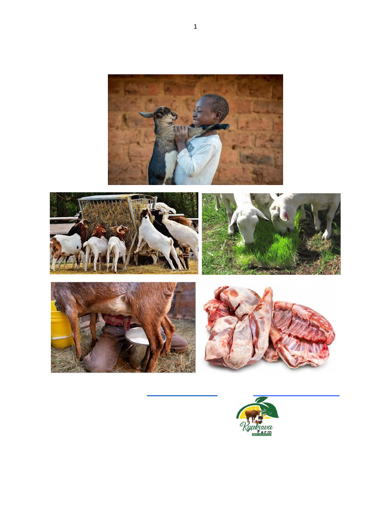 GOAT-PRODUCTION-MANUAL-JULY-2023-2022docx_240112_100629 | PDF | Goat ...