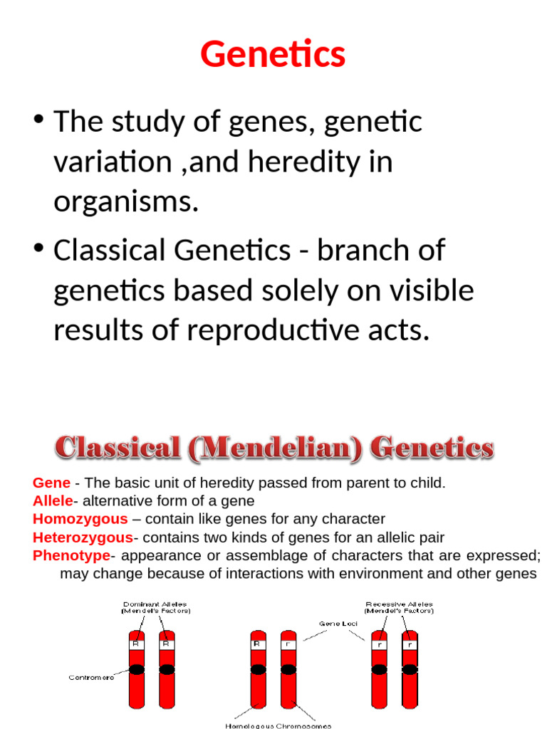 S1 Mendelian Genetics | PDF | Dominance (Genetics) | Genotype