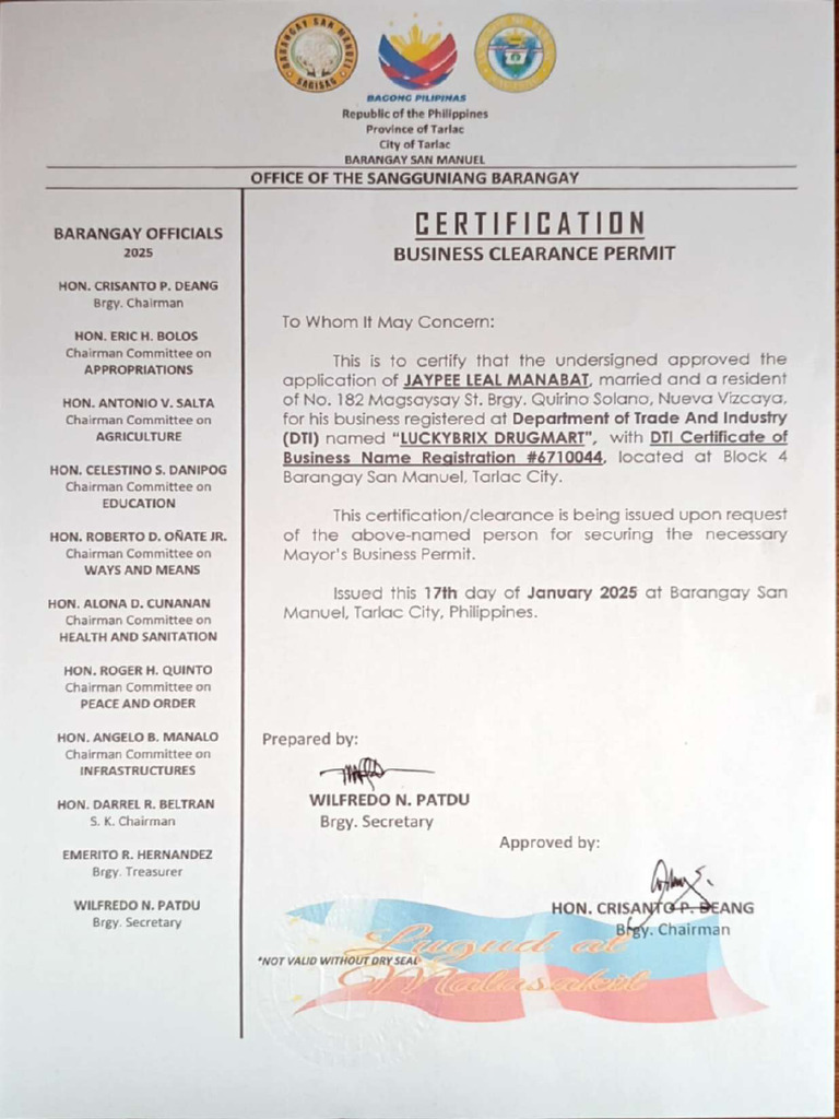 Brgy Permit | PDF