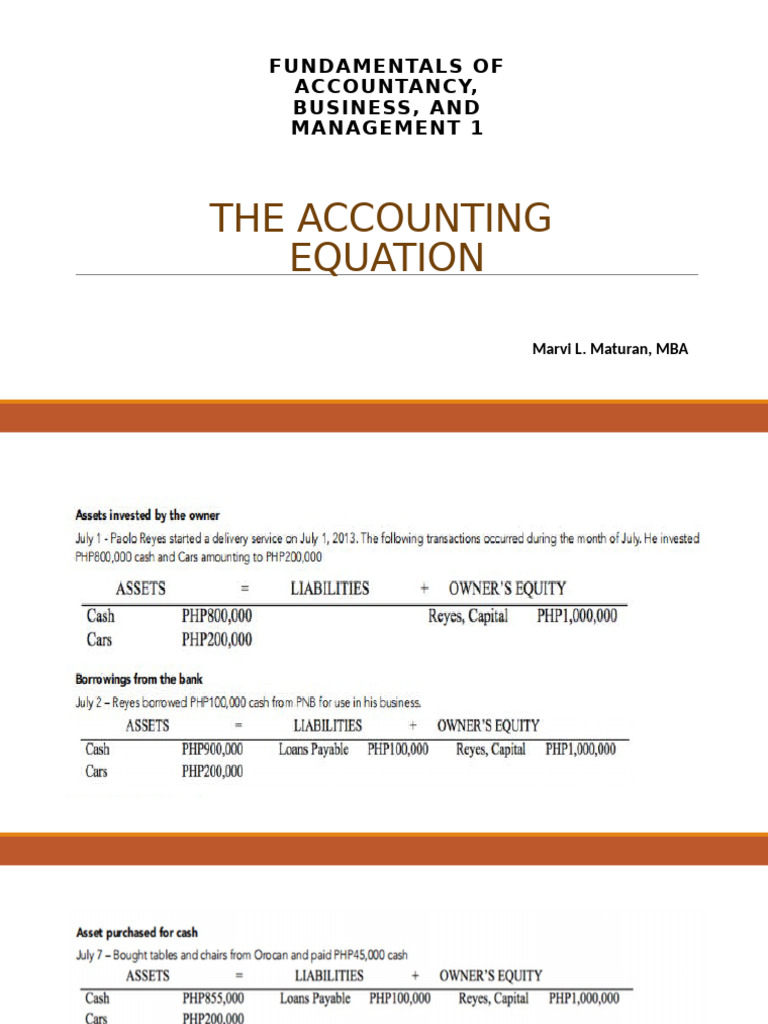 Accounting Equation Basics | PDF