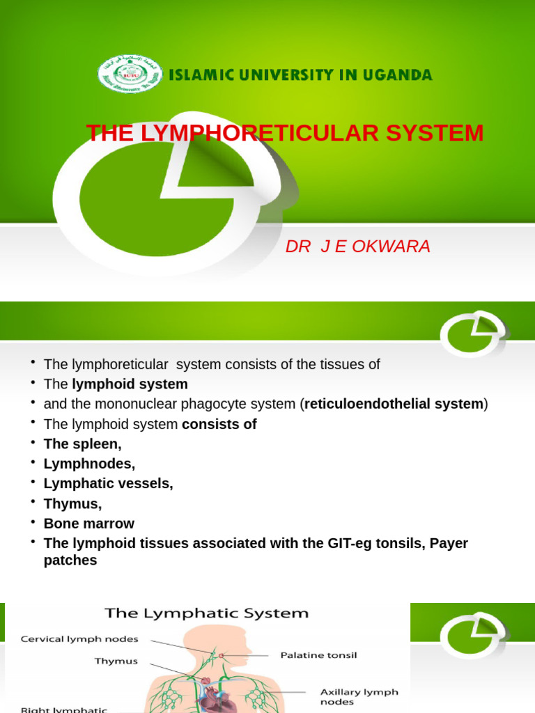 LEC 6 -THE LYMPHORETICULAR SYSTEM 2-3 | PDF | Lymphatic System | Thymus