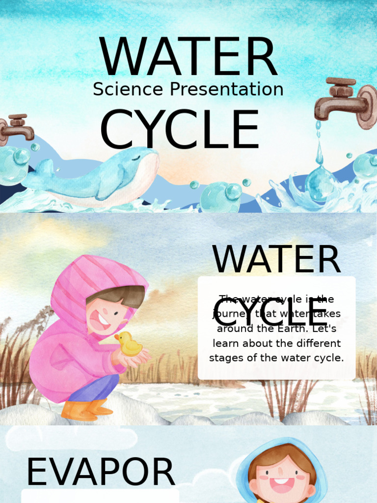 Understanding the Water Cycle | PDF