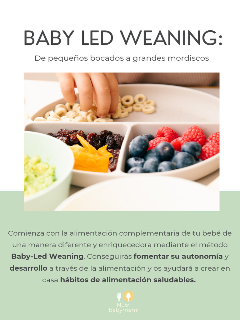 Workbook Taller BLW | PDF | Alimentos | Cocinando