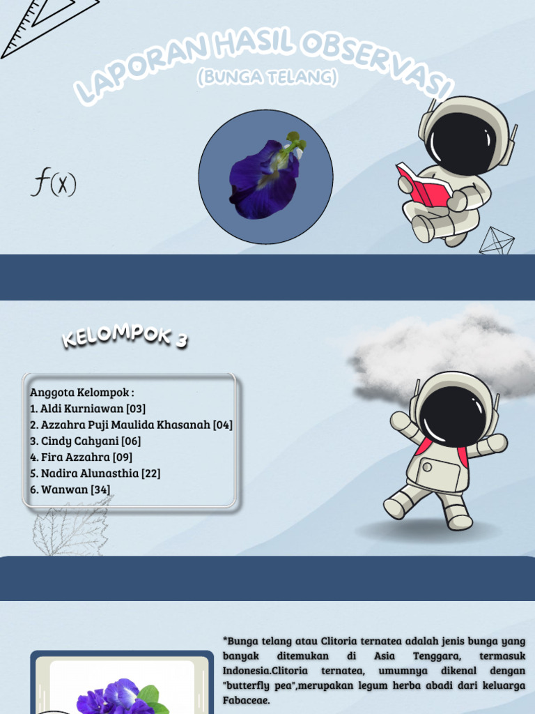 Contoh Teks LHO | PDF