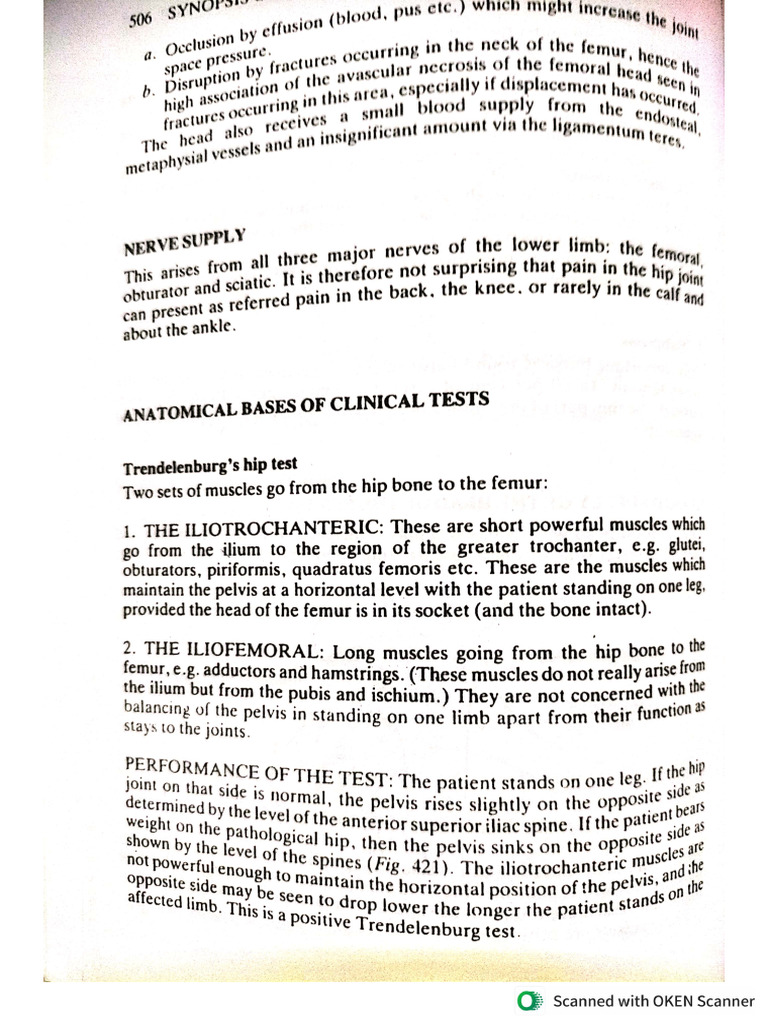 Trendelenburg's Test | PDF