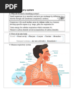 Respiratory System Study Guide | PDF | Exhalation | Respiratory Tract
