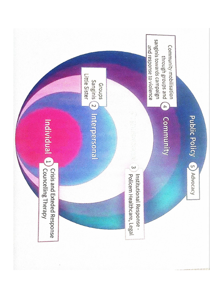 TARA Prog | PDF