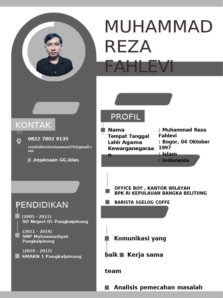 CV Reza | PDF