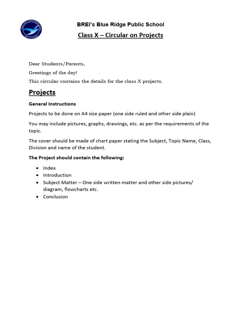 Class X Project Guidelines 2024 | PDF