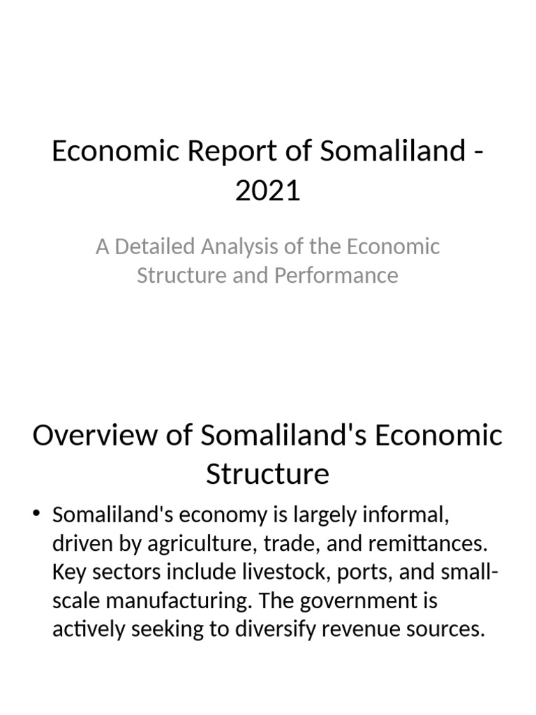Somaliland Economic Insights 2021 | PDF