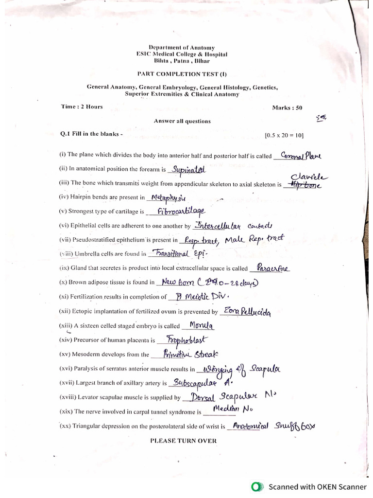 Anatomy Paper 2k21 | PDF