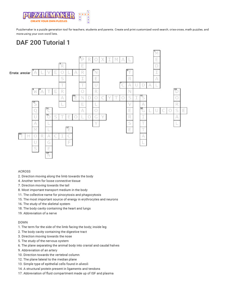 DAF 200 Tutorial 1 Memo | PDF