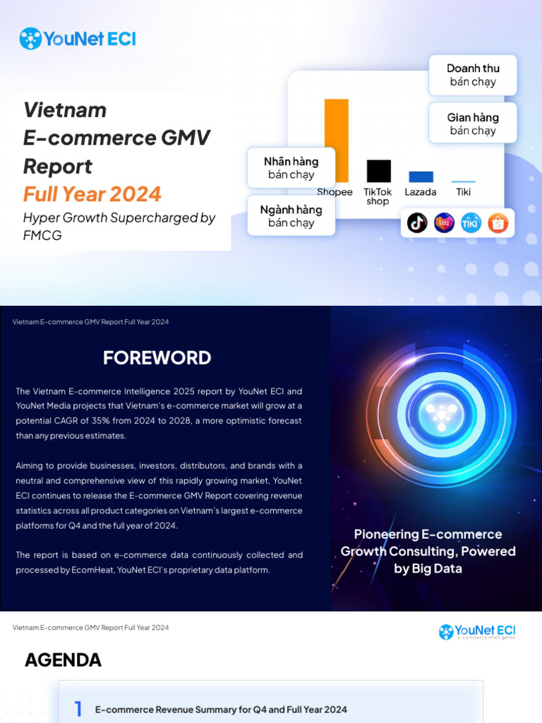 Younet ECI 2024 Ecommerce Revenue | PDF | E Commerce | Brand