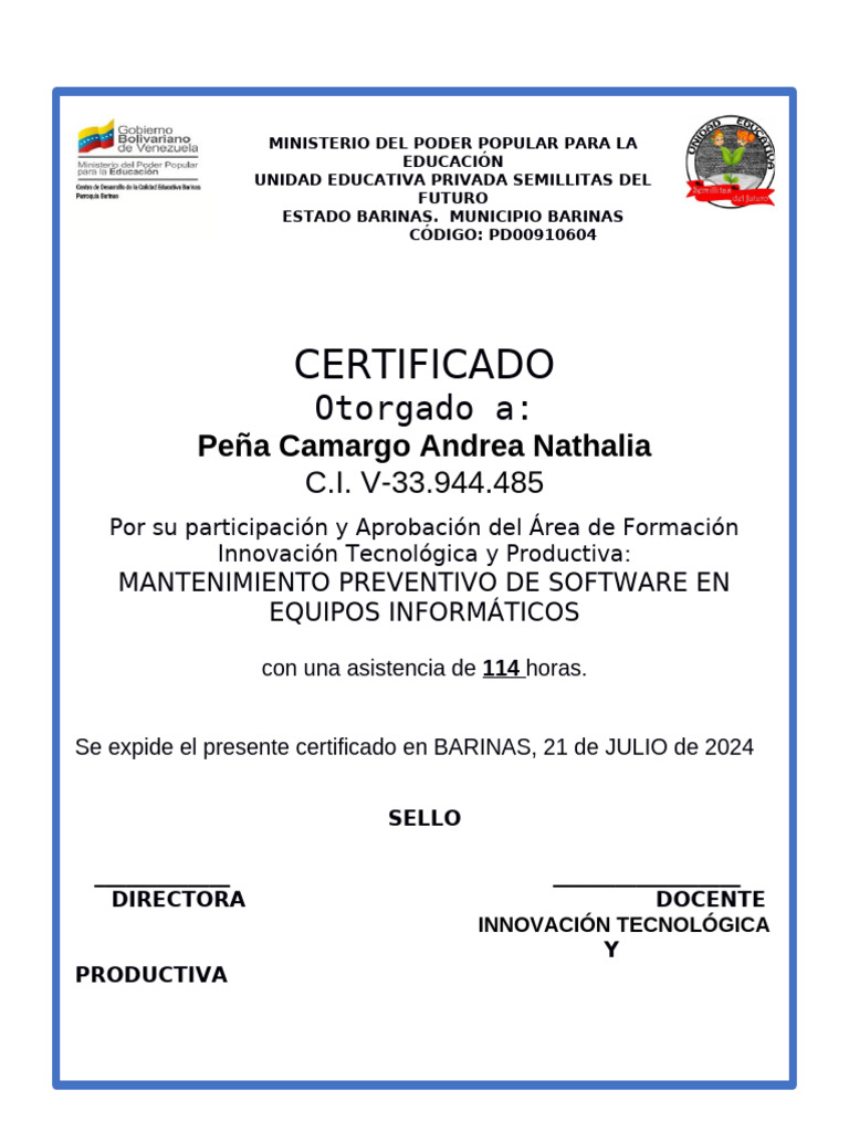 Certificados Media | PDF | Informática | Ingeniería de Sistemas