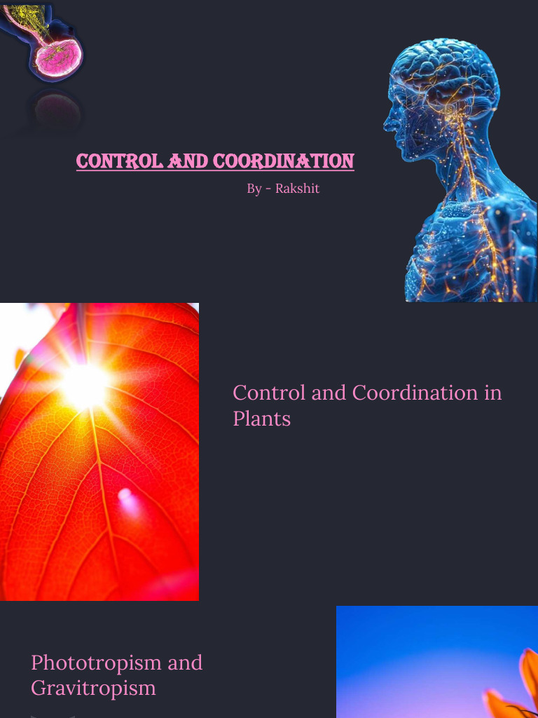 Control and Coordination in Plants and Animals | PDF | Nervous System ...