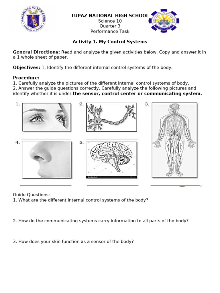 4. Homeostasis Activity 1 3 | PDF