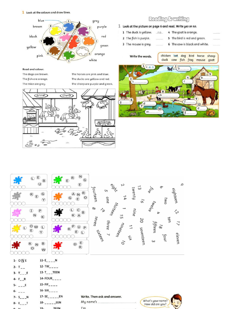 Revision Colours, Numbers, Animals | PDF