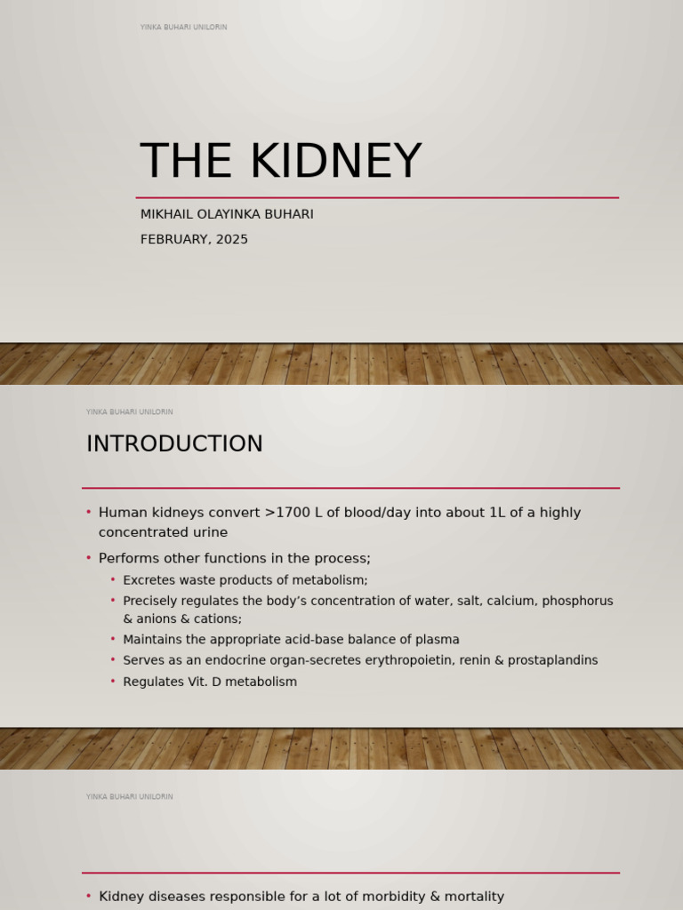 Understanding Kidney Diseases and Disorders | PDF | Kidney | Chronic Kidney Disease