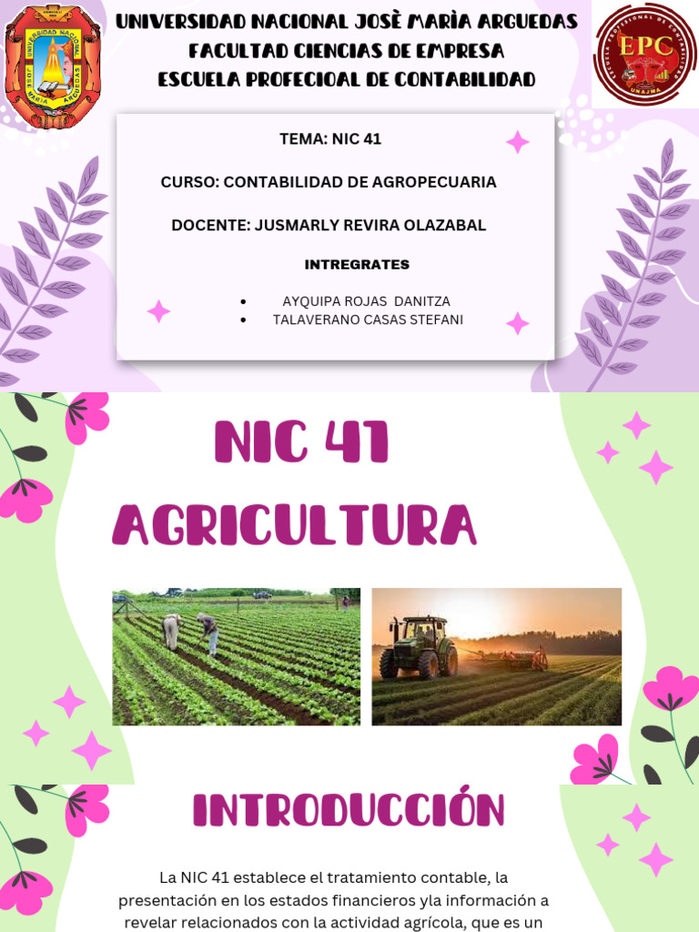 Nic 41 - Agricultura | PDF | Contabilidad | Agricultura
