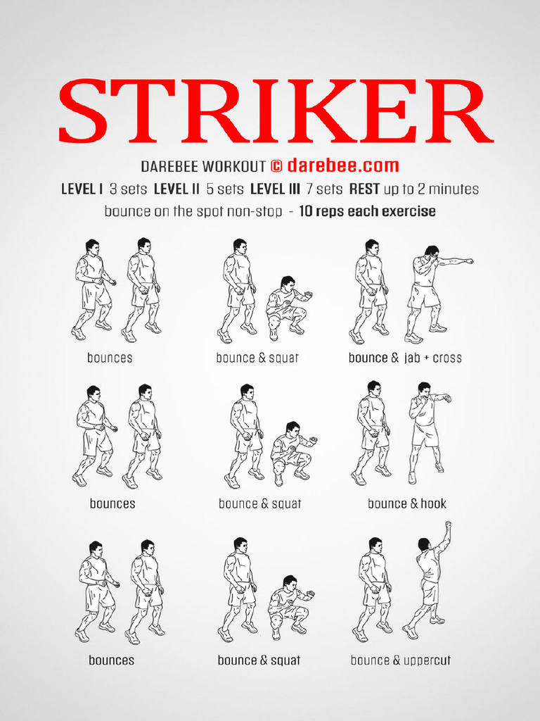 Striker Workout | PDF