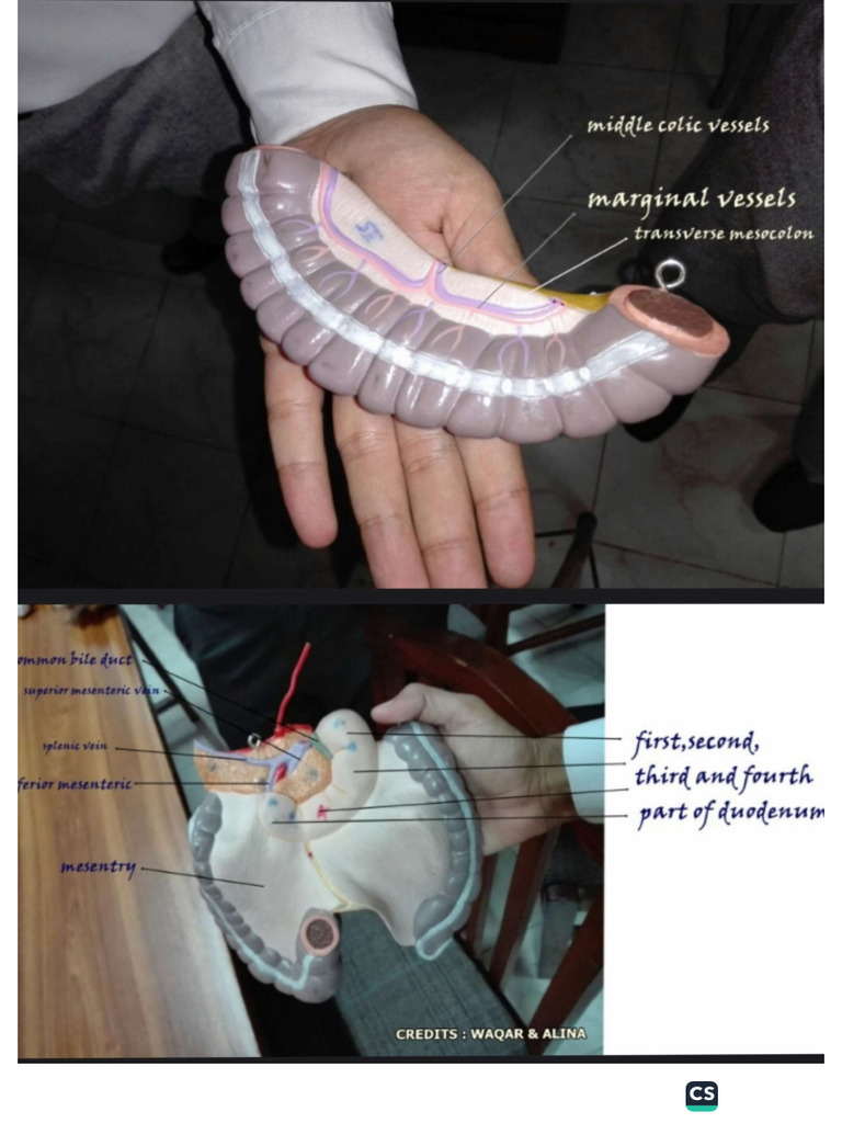 GIT Labeled Model - ! | PDF
