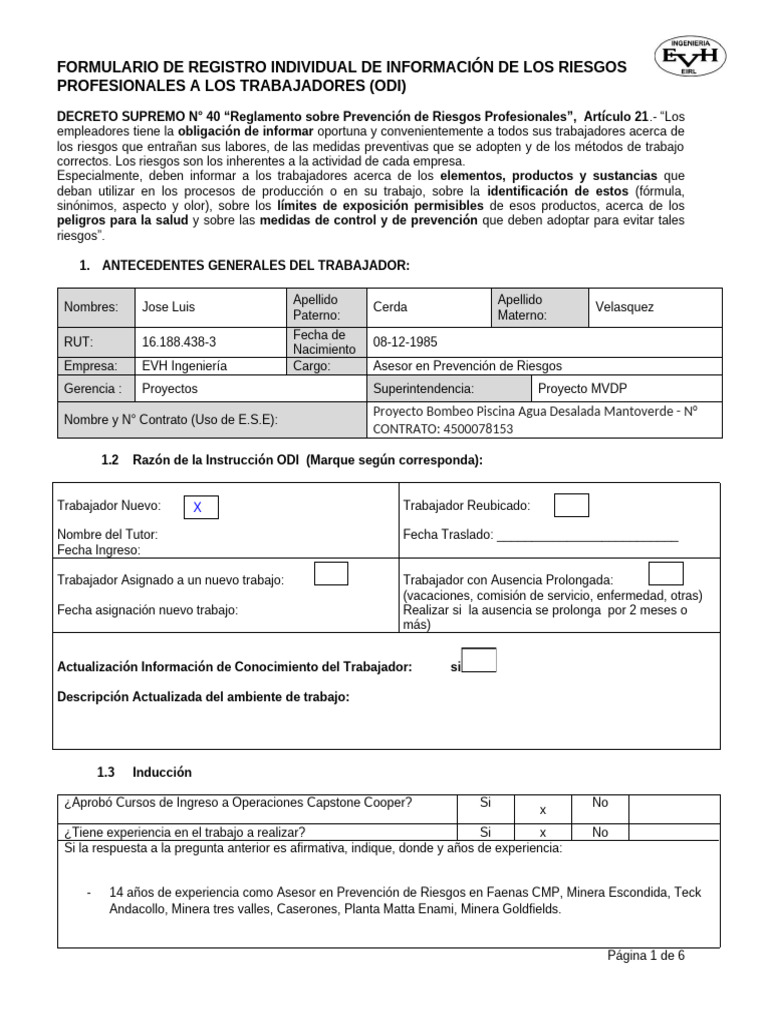 Registro de Riesgos Profesionales ODI | PDF | Seguridad y salud ocupacional