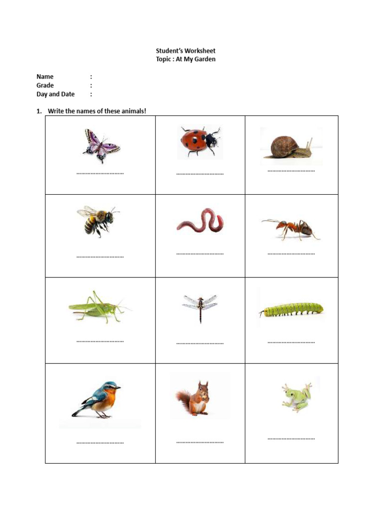 Horticulture Worksheet for Students | PDF | Horticulture